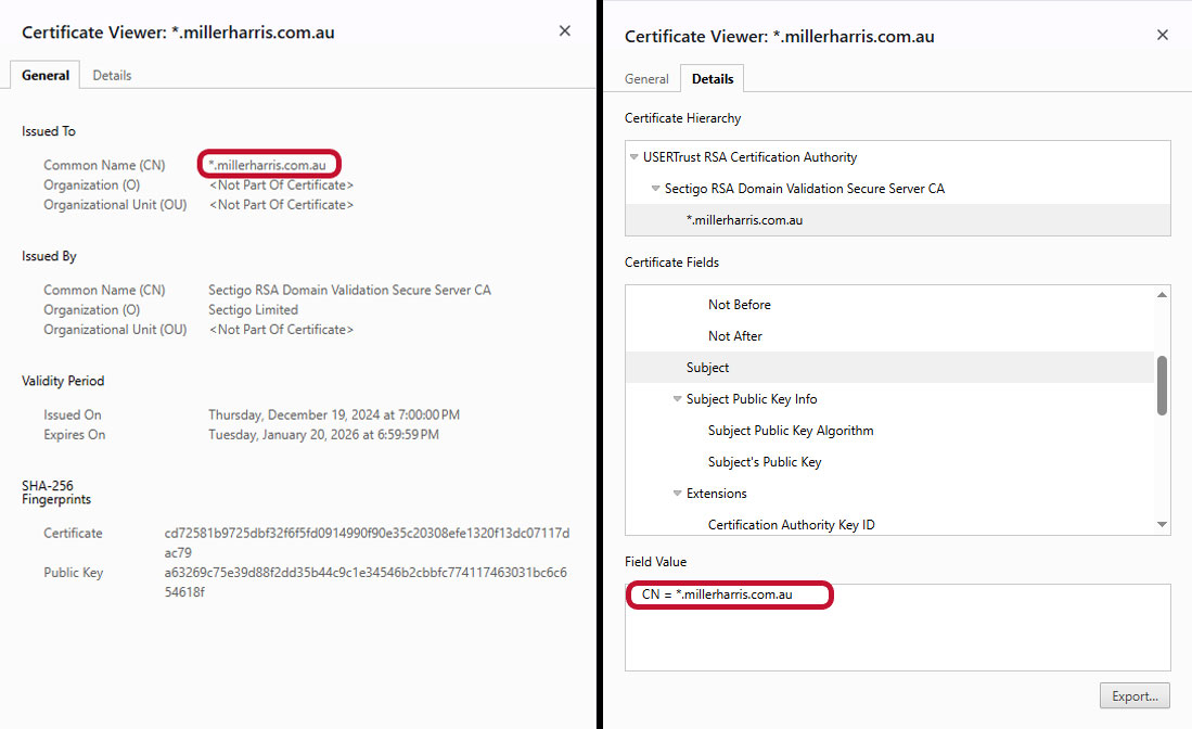 SSL Asterisk in Action: A Look at Wildcard Certificate Examples ...